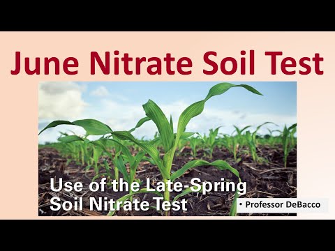 June Nitrate Soil Test