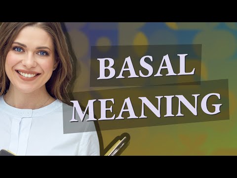 Basal | meaning of Basal