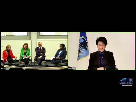 Development banks: Unlocking partnerships and financing to build forward – Panel event