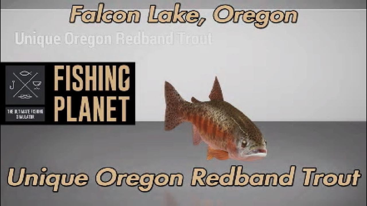 Unique Oregon Redband Trout Falcon Lake Oregon Fishing Planet Guide