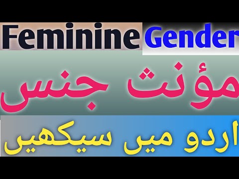 Feminine Gender. مؤنث جنس. English Feminine Gender in Urdu/ Hindi//m jan tv//2022