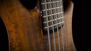 Warwick Masterbuilt Thumb NT LE 5-string Bass Guitar - What To Know ...