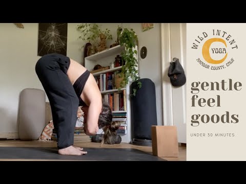 Try Me – Wild Intent Yoga