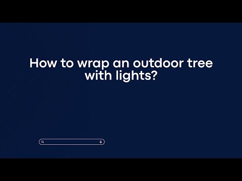 How to wrap an outdoor tree with lights?