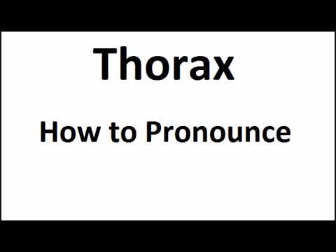How to pronounce Thorax||How to say Thorax||Thorax Pronunciation||ABDictionary