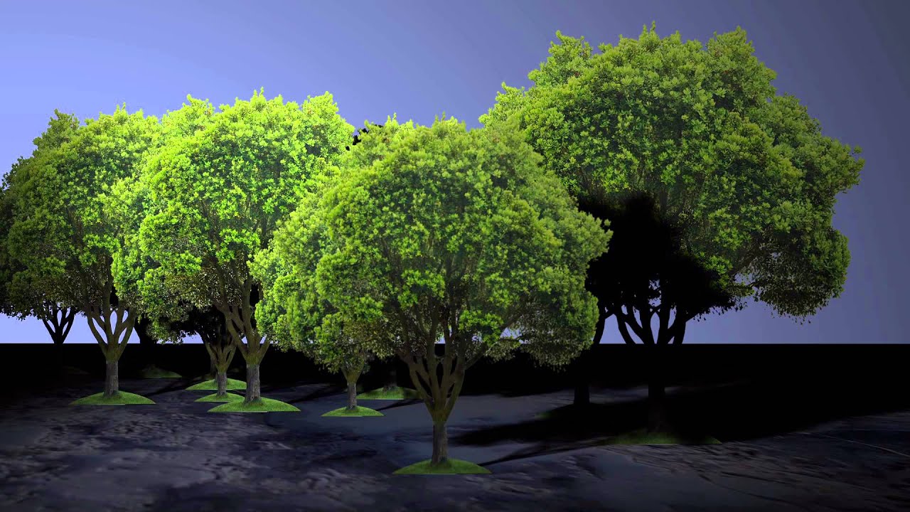 3D Trees with a traveling light and shadows