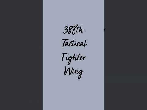 Biography of US Air Force Captain Michael Leo Chinsburg