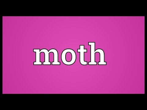 Moth Meaning