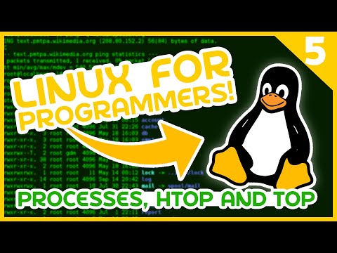 Learn Linux for Programmers 5 Processes htop top - Mind Luster