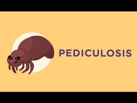 Todo lo que debes saber sobre la Pediculosis