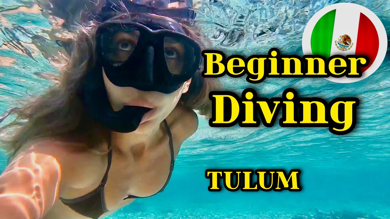 Beginner DIVE GUIDE for TULUM Mexico 🇲🇽 Cenote, ocean and cave diving for your scuba dive license