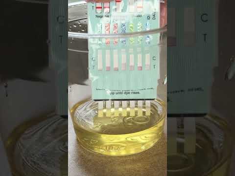 Easy@Home Multidrug Screen Test At Home Urine Drug Testing Kits For All Drugs