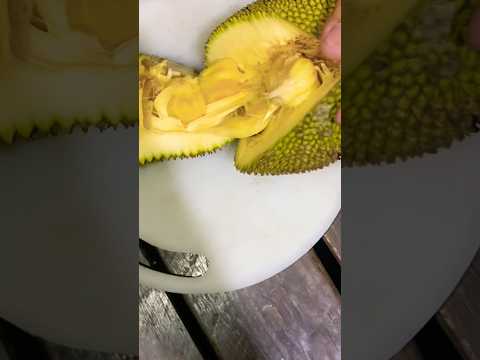 #jackfruit #satisfying #shorts #fyp #viralvideo #video #explore #cuttingskills #trending #tricks