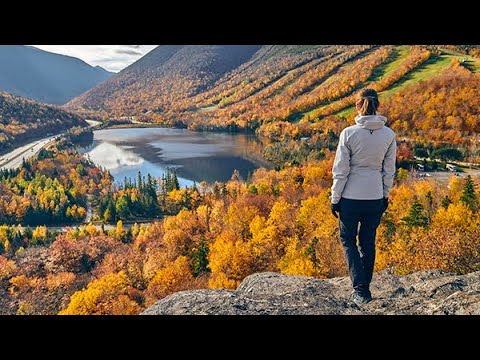 The Great Reset: The Case for Climate Action as Key to Economic Recovery – MACAL Program