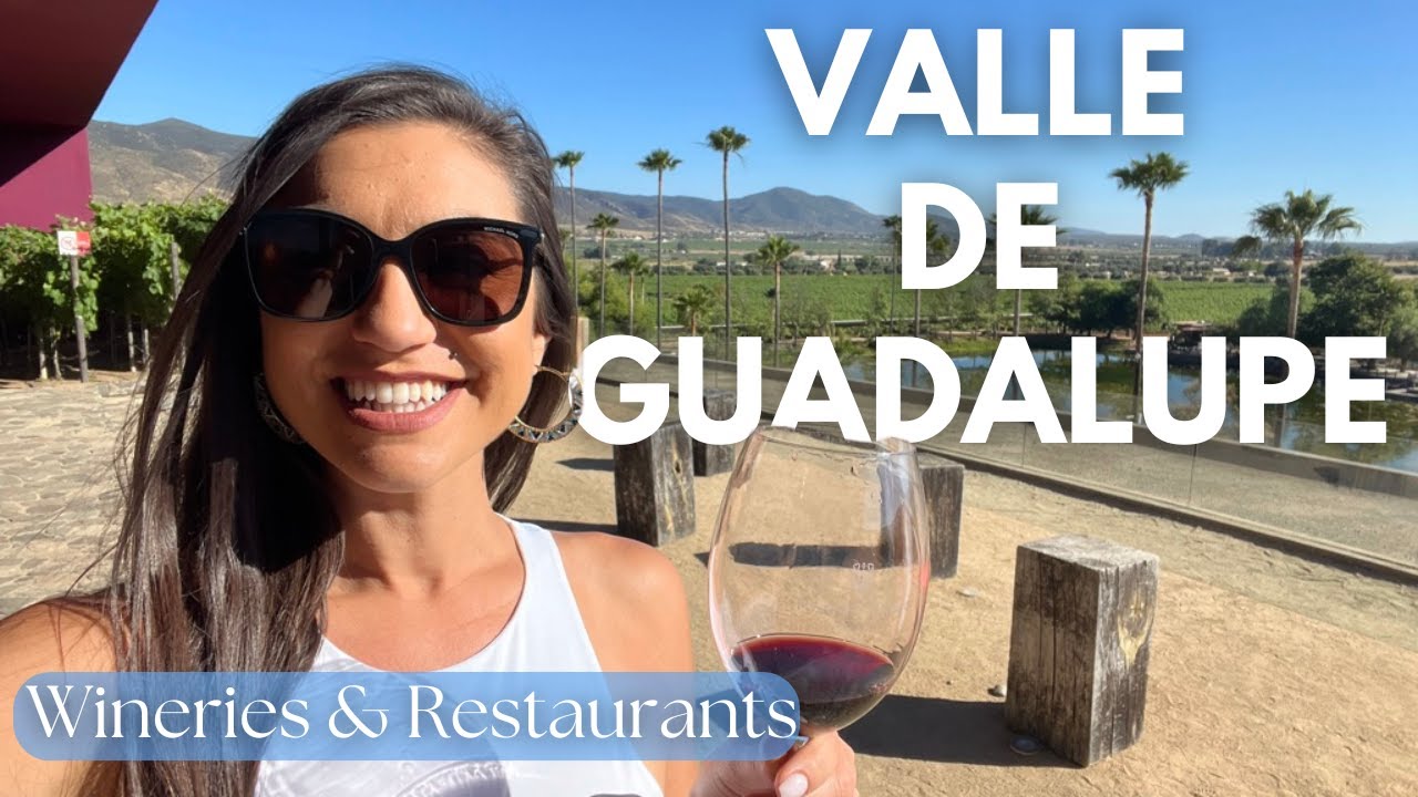 Watch before going to Valle de Guadalupe for important information about wineries and restaurants!🇲🇽