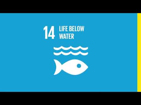 TOWARDS A SUSTAINABLE WORLD UN SUSTAINABLE DEVELOPMENT GOAL 14 - LIFE BELOW WATER