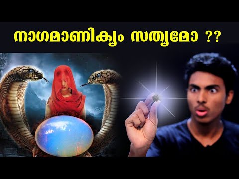 നാഗമാണിക്യം എന്ന അത്ഭുത കല്ല് l NAGAMANIKYAM EXPLAINED l MALAYALAM l AFWORLD