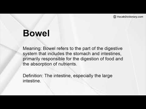 Bowel Meaning