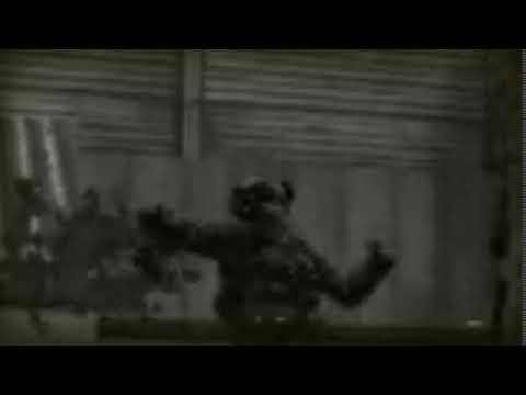 Steam Community :: Video :: Random.mp4