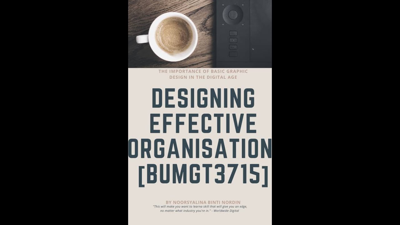 TOPIC 2 STRATEGY, ORGANIZATION DESIGN AND EFFECTIVENESS BUMGT3715