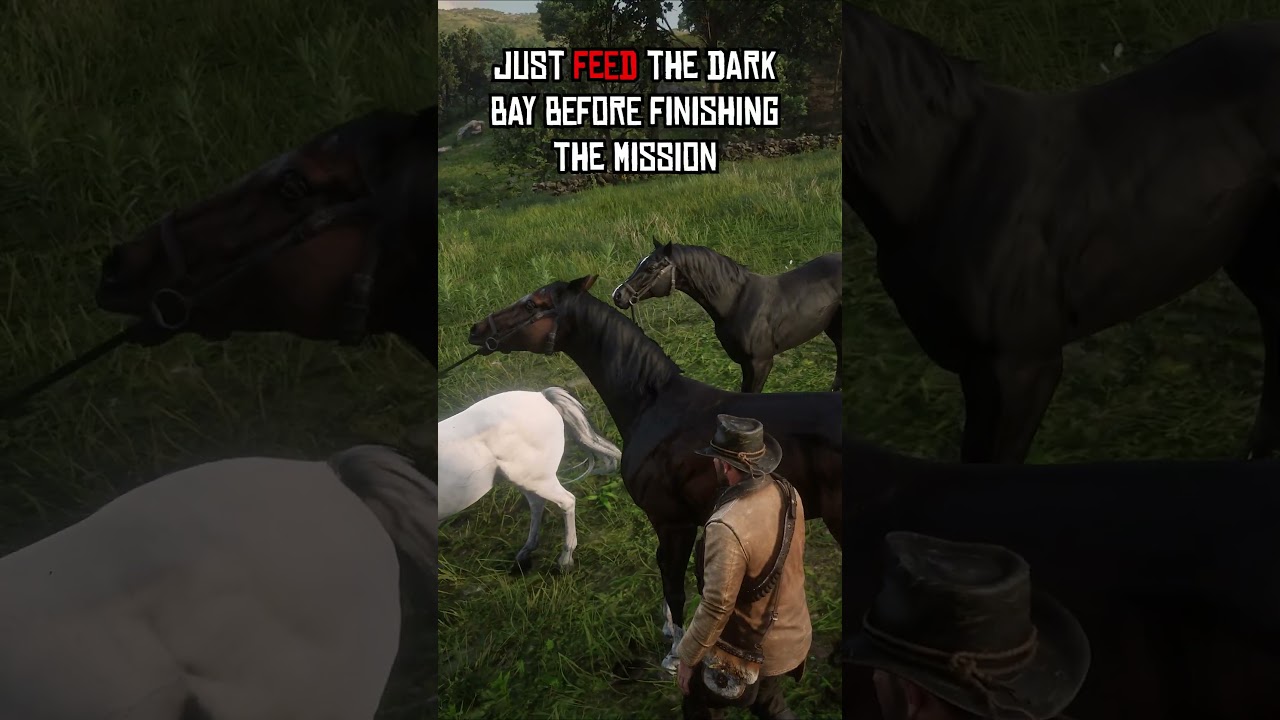Only Way To Get Turkoman Dark Bay Early!  #rdr2 #reddeadredemption2 #reddeadredemption #arthurmorgan
