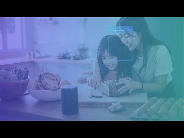 Human-powered Data Processing Services for AI/ML Models - Shaip