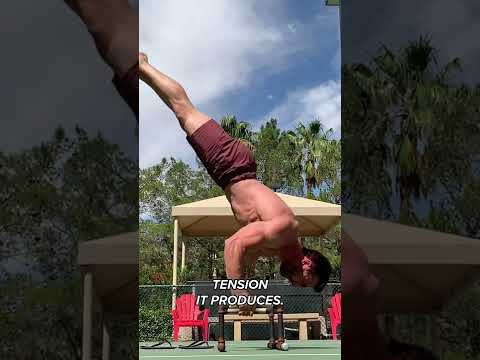 Length-tension relationships 2/2 - passive tension