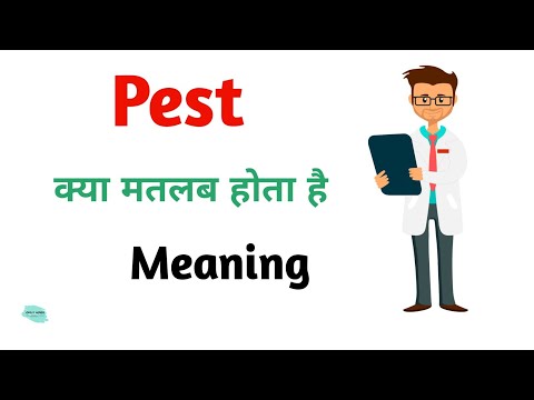 Pest meaning in hindi | Pest Ka Kya Matlab hota hai | Daily use English words