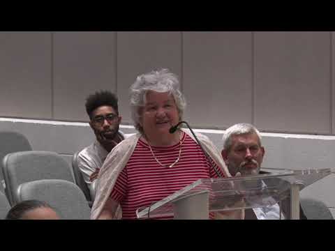 Joint Reapportionment Committee 06.30.21 - Dalton, GA