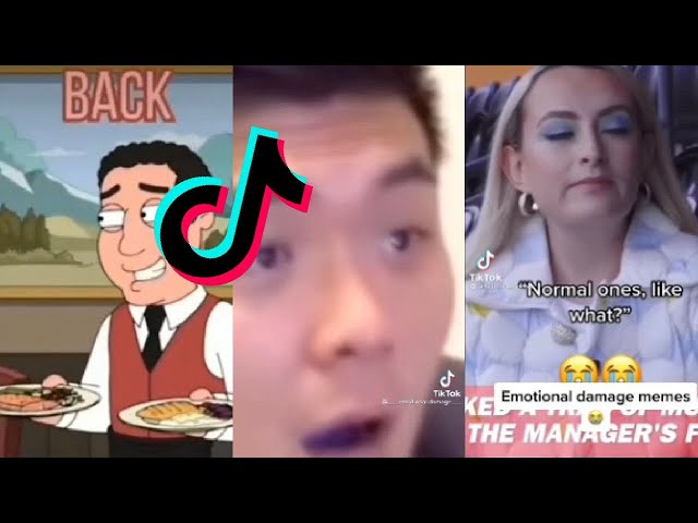 emotional damage: Origin of 'emotional damage' TikTok explained as ...