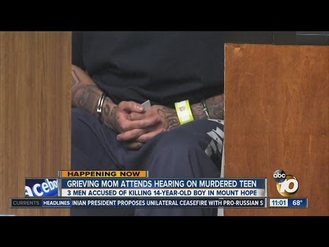 3 suspects plead not guilty in 2012 teen killing