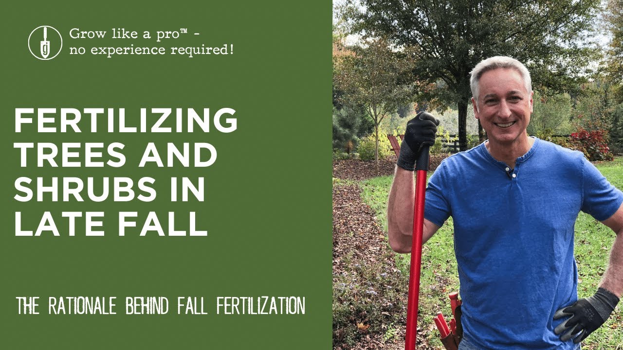 Fertilizing Trees and Shrubs in Late Fall