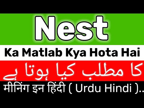 Nest Meaning | Nest Meaning In Urdu Hindi | Nest Ka Matlab Kya Hota Hai | Nest Ka Meaning Kya Hai