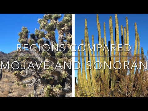 Regions Compared: Mojave and Sonoran Deserts