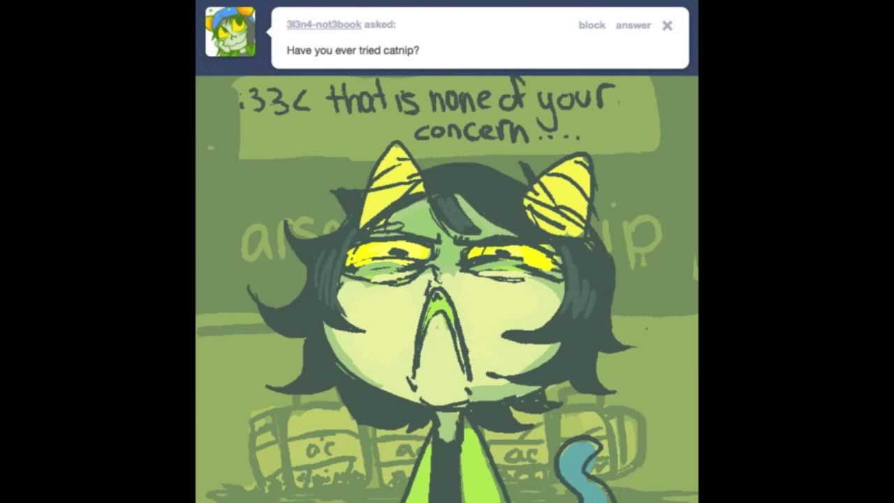 Homestuck: Asking Nepeta 2
