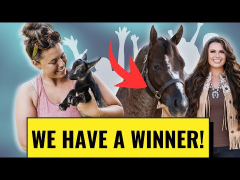 Goats Giving Birth and My Stallion Is A Winner!