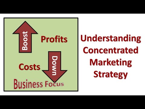 Understanding Concentrated Marketing Strategy
