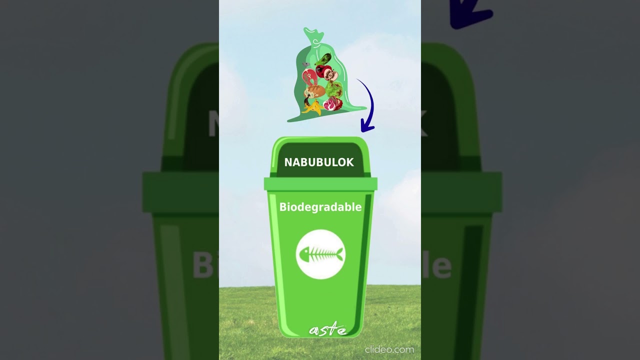 A Guide to Garbage Segregation