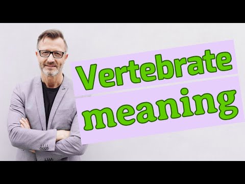 Vertebrate | Meaning of vertebrate đź“–