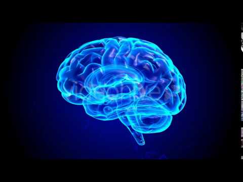 Transparent Brain Rotation