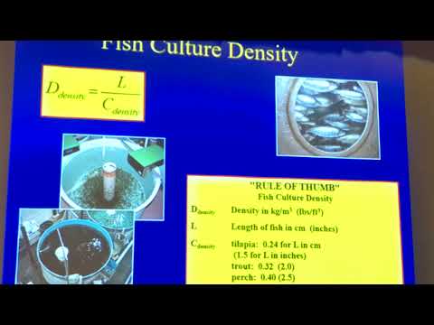 RAS Design Mass Balances Part 3 (Mike Timmons)