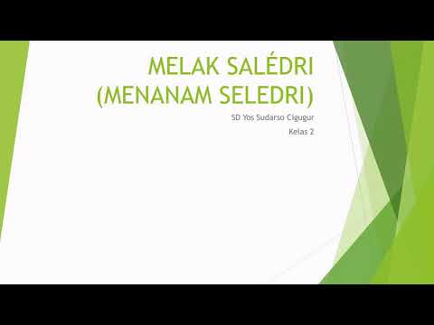 Terjemahan melak saledri