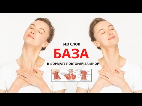 Проработка Базы без слов! В формате повторяй за мной