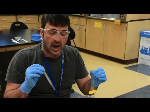 Diffusion and Osmosis lab for ACC students