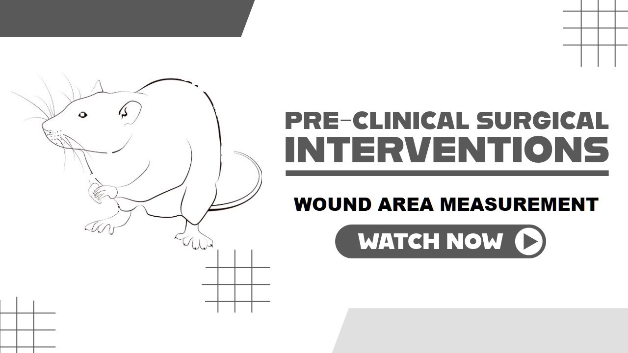 How to measure a wound area using ImageJ software?