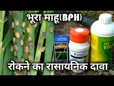 Insecticides - Keetnashak Latest Price, Manufacturers & Suppliers