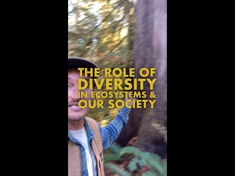 The Importance of Diversity in Ecosystems and our Society