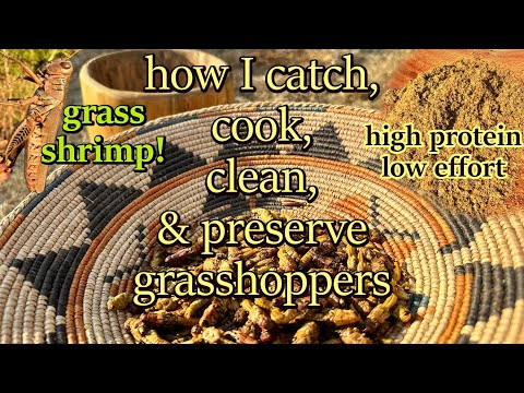 Insects & more – Paleo Foraging