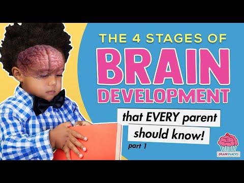 🧸 4 Stages of Brain Development that Every Parent Needs to Know | BRAIN SNACKS 🧠🧁