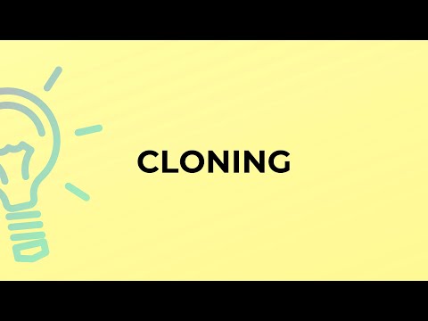 What is the meaning of the word CLONING?